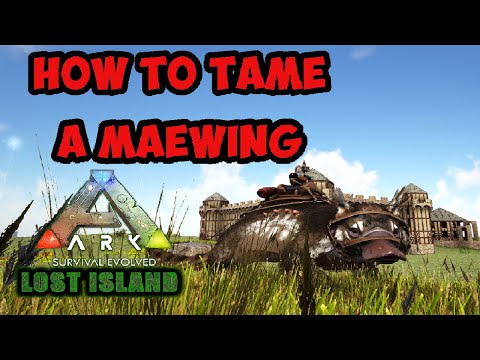 Steam Community :: Video :: ARK SURVIVAL EVOLVED HOW TO TAME A MAEWING ...