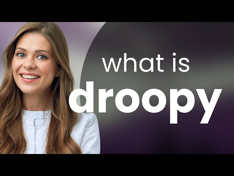 Droopy — DROOPY definition