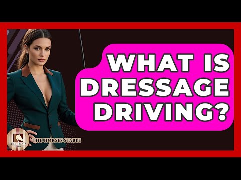What Is Dressage Driving? - The Horses Stable
