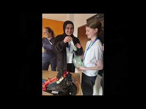 BrigHT Futures: February half-term work experience 2024