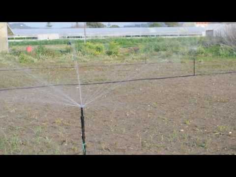 Hunter MP 3000 Rotator - Agricultural Applications on Rhodes Island