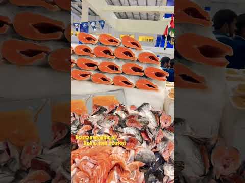 Salmon fish // Norwegian Salmon //Dubai fish market #fish #salmon # #ytshorts #viral #shorts