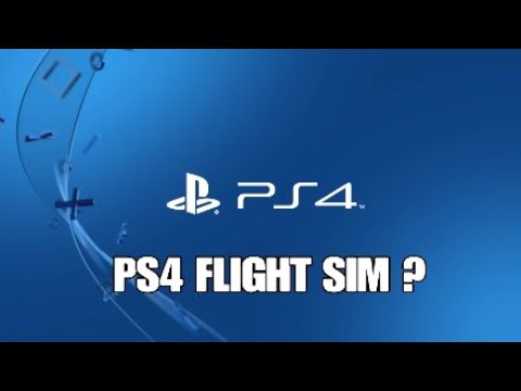 PS4 FLIGHT SIMULATOR 2019 ?