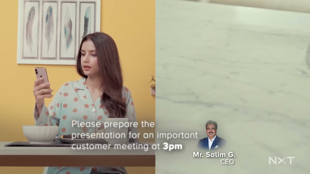 Netsol - Corporate Video