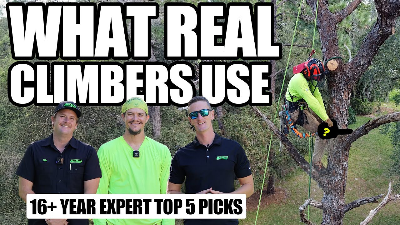 Top 5 Tools Every Arborist Needs! Tree Climbing 101 🌳