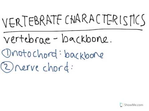 Vertebrate Characteristics