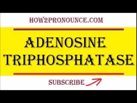 How To Pronounce ADENOSINE TRIPHOSPHATASE