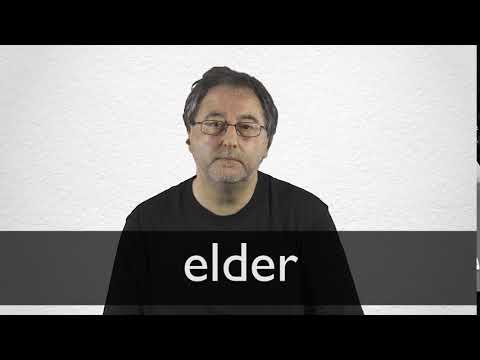 ELDER definition in American English | Collins English Dictionary