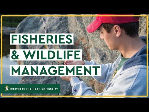Fisheries And Wildlife Management