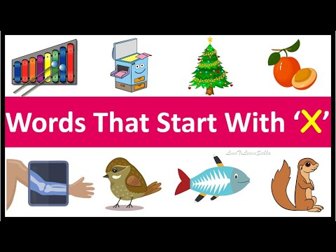 Words That Start With X |Words That Start With Letter X For Toddlers |Kids Learning Videos |X Words