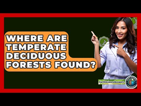 Where Are Temperate Deciduous Forests Found? - Earth Science Answers