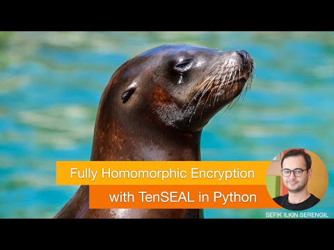 Fully Homomorphic Encryption with TenSEAL in Python
