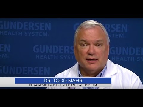 Todd Mahr, MD, discusses bee sting season