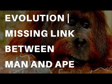 Evolution | Missing link between man and ape