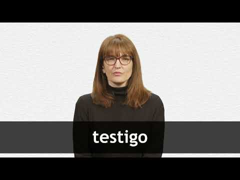 English Translation of “TESTIGO” | Collins Spanish-English Dictionary