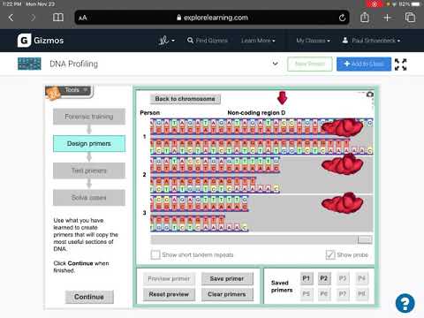 How to design your primers (DNA profiling Gizmo)