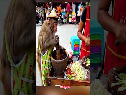 "Monkey Chef Makes Thai Papaya Salad on the Street!" ππ₯πΉππ₯