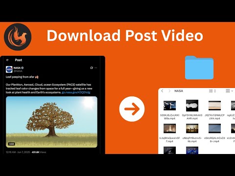 How to download X/Twitter Post Video?