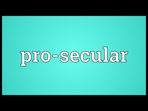 Pro-secular Meaning