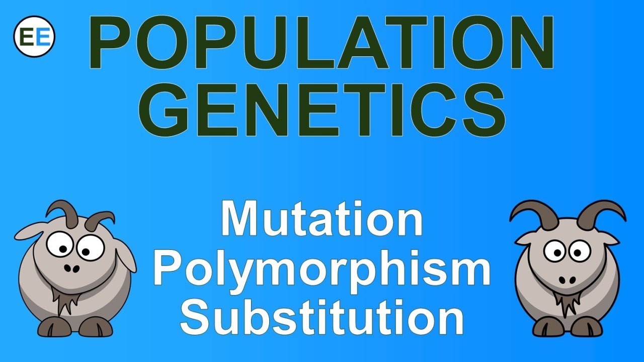 Mutation, polymorphism, and substitution | EvolutionExamples