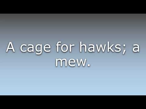 What does Meute mean?