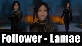 Skyrim Mods - Follower Lamae 4k HD at Skyrim Nexus - Mods and Community