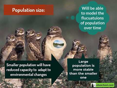 Populations in Ecosystems – 1.6 Variation in Population Size – Population Size