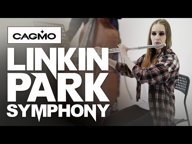 Программы | CAGMO