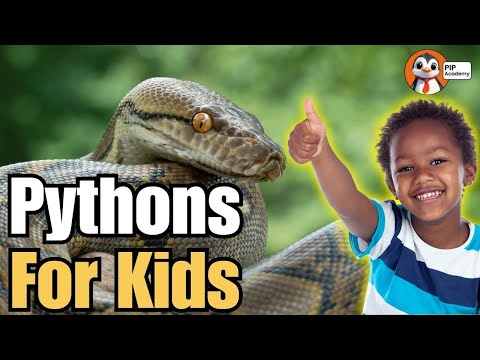 All About Pythons: Amazing Snake Facts for Kids! 🐍