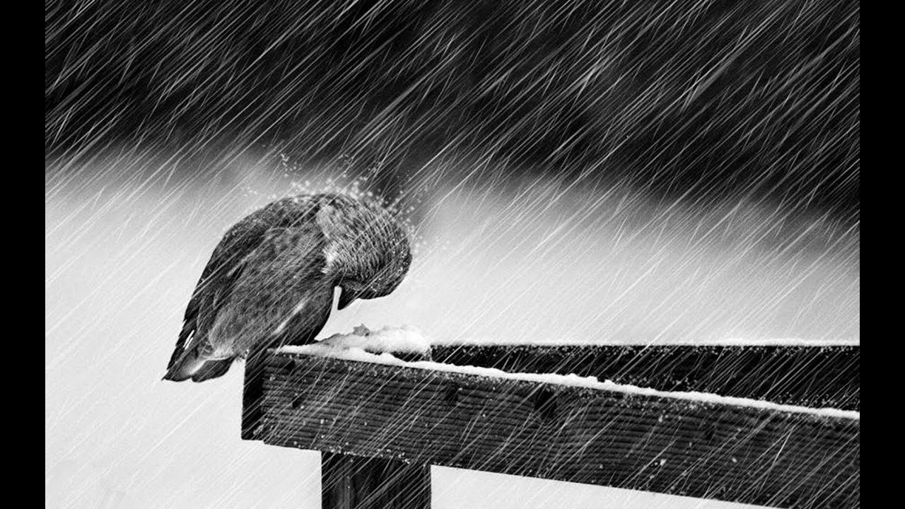 Cold - Jorge Mendez (Saddest Piano & Violin Instrumental)