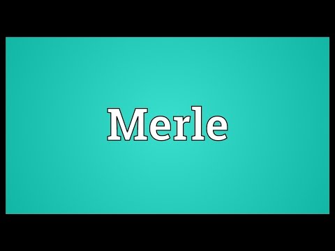 Merle Meaning