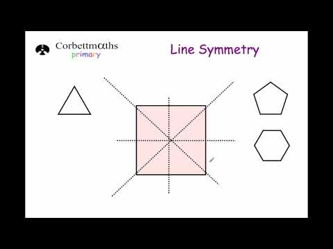 Line Symmetry - Primary
