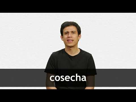 English Translation of “COSECHA” | Collins Spanish-English Dictionary