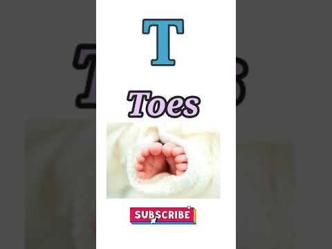 T Letter Words | T Letter | Letter T |Words starting with letter T | Alphabet