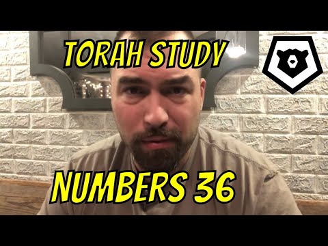 No Roots, No Fruit Torah Study: Numbers 36