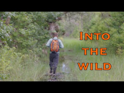 Tosohatchee Wildlife Management Area | An Interesting Trail Hike