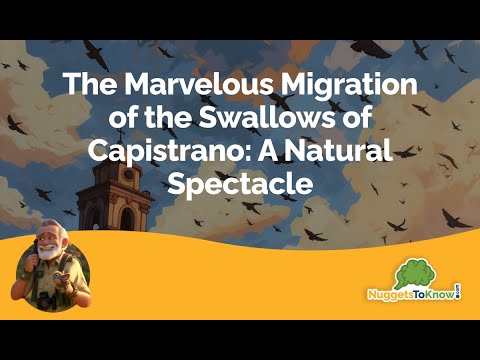 The Marvelous Migration of the Swallows of Capistrano: A Natural Spectacle