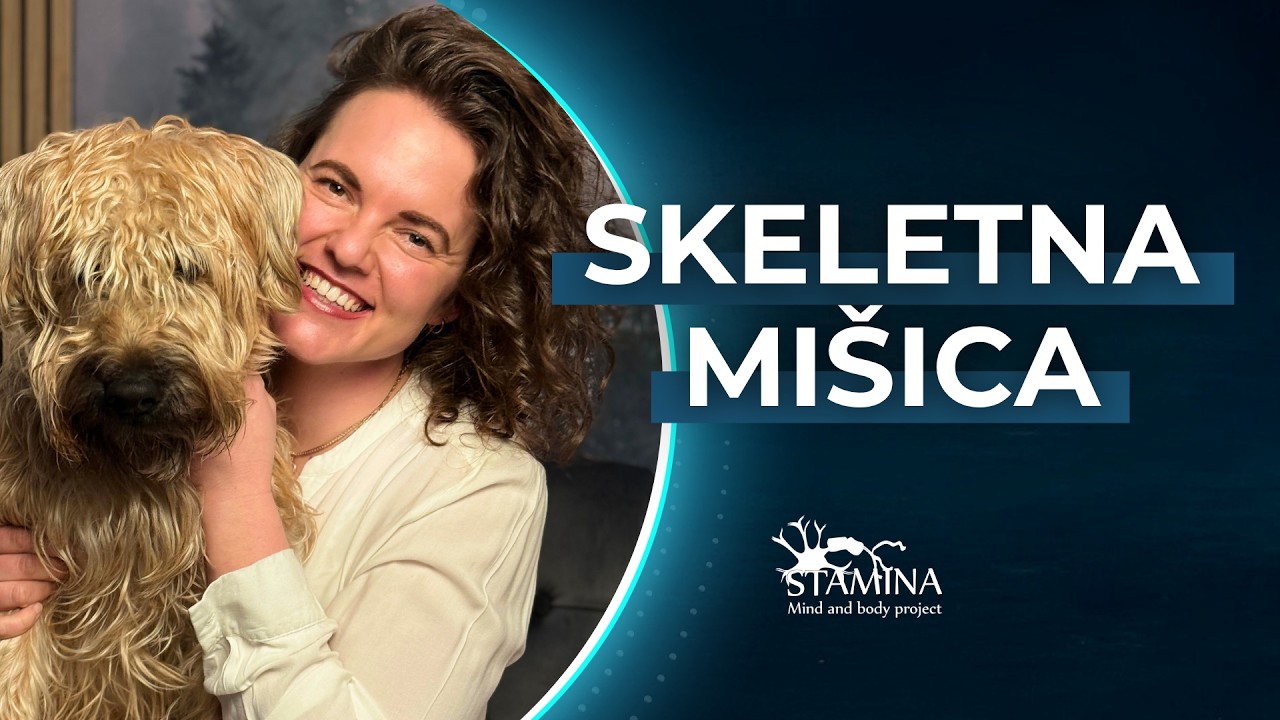Skeletna mišica | Stamina.project