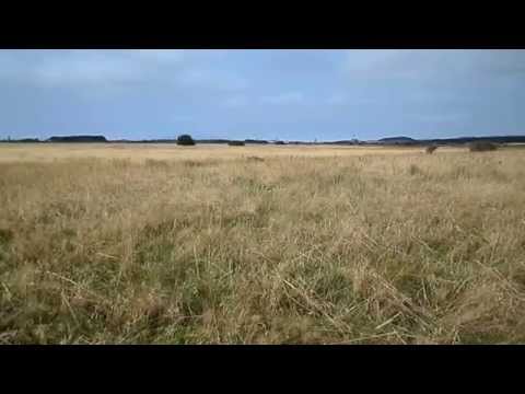 Bogside Racecourse – Irvine Scotland