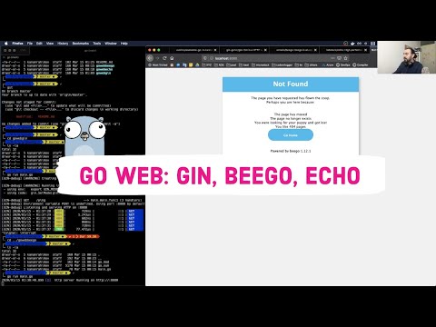 Go Web Frameworks | Gin, Beego, Echo | Setup Simple Server (Part 1)