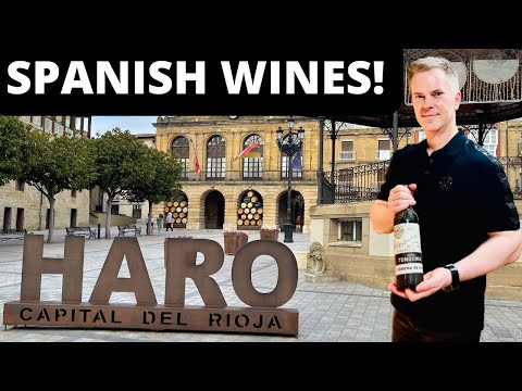 13 Top SPANISH WINES You Have to Try!