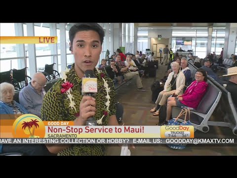 Non-Stop To Maui!!!