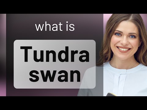 Understanding the Phrase "Tundra Swan": A Deep Dive into Meaning and Context