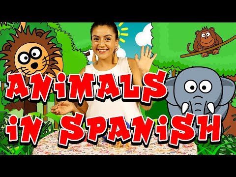 Wild Animals In Spanish | Language Learners