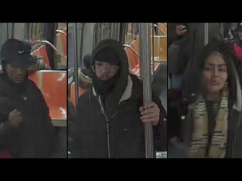 Bronx BP Gibson addresses subway crime