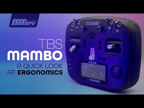 TBS Mambo: A Quick Look at the Ergonomics