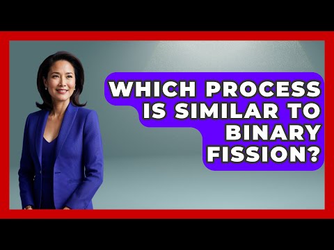 Which Process Is Similar To Binary Fission? - Biology For Everyone