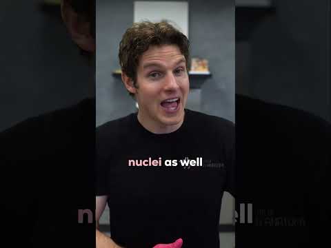 A Theory on Muscle Memory