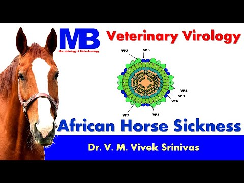 AFRICAN HORSE SICKNESS | Microbiology | Vivek Srinivas | #equinehealth #AHS #Veterinaryscience