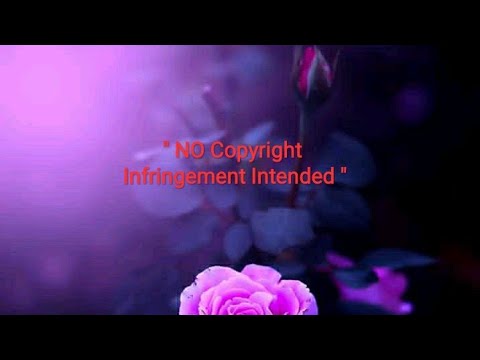 " No Copyright Infringement Intended " Meaning.